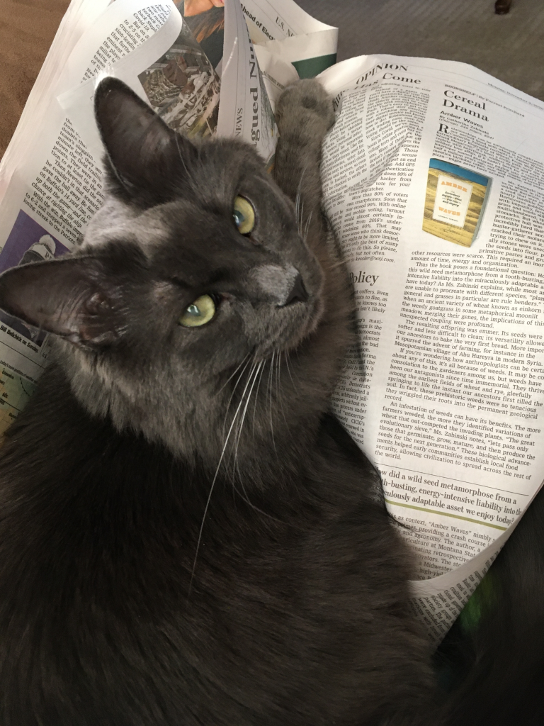 Kyle Vanderburg - Blog